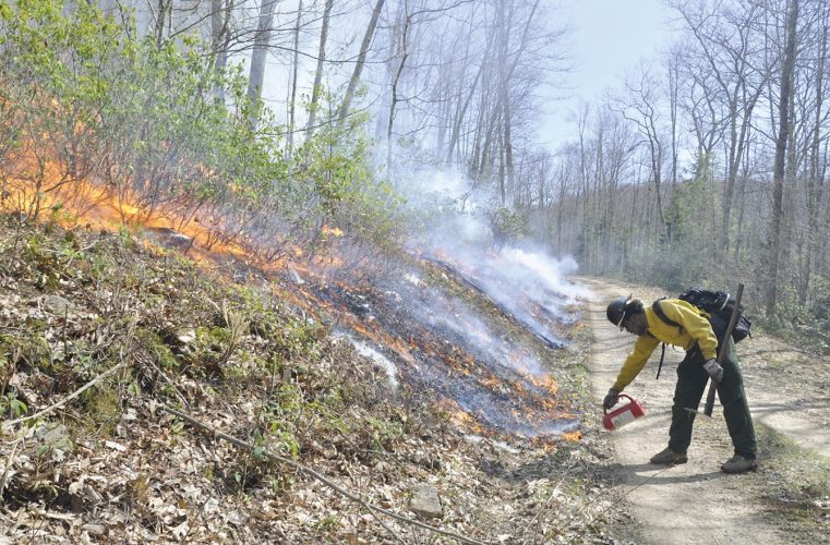 Monongahela Forest Service to conduct prescribed burn Friday | News ...